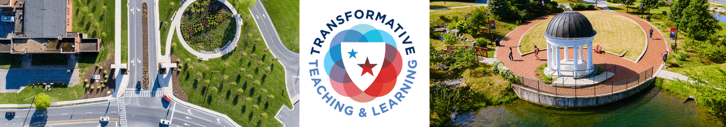 Center for Transformative Teaching and Learning (TTL) - Academics